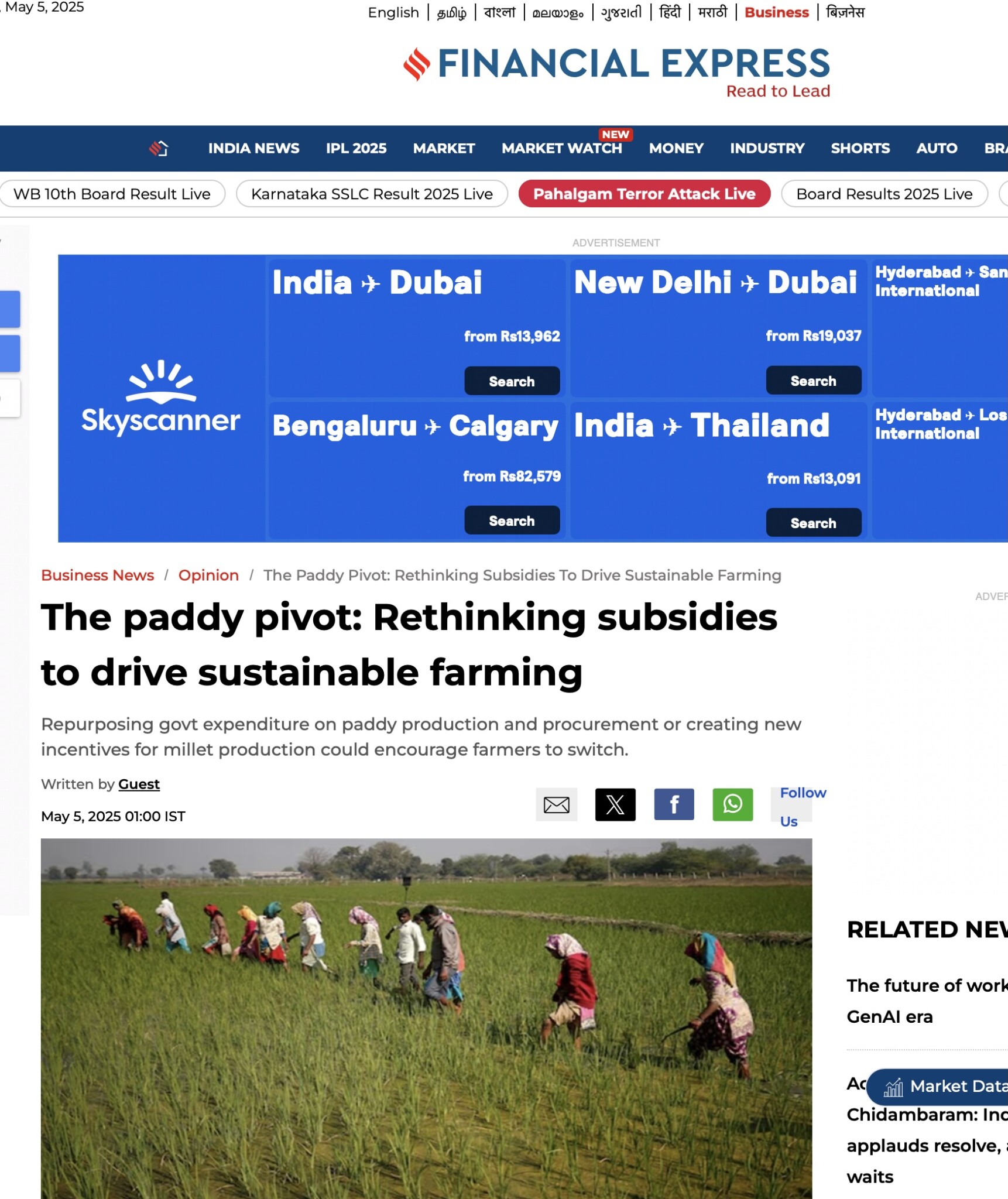 The Paddy Pivot: A Step Towards Sustainable Agriculture in India – AMIT ...